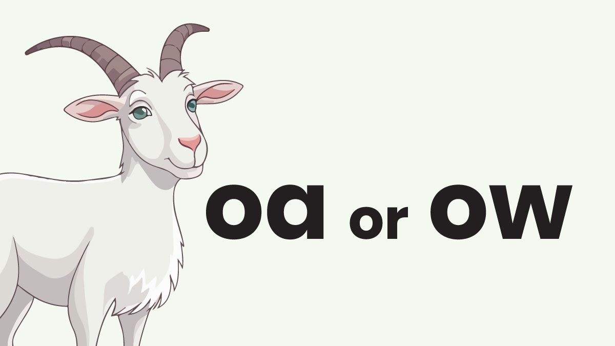 Understanding 'oa' and 'ow'. When and where they are used. - Tricky Brains